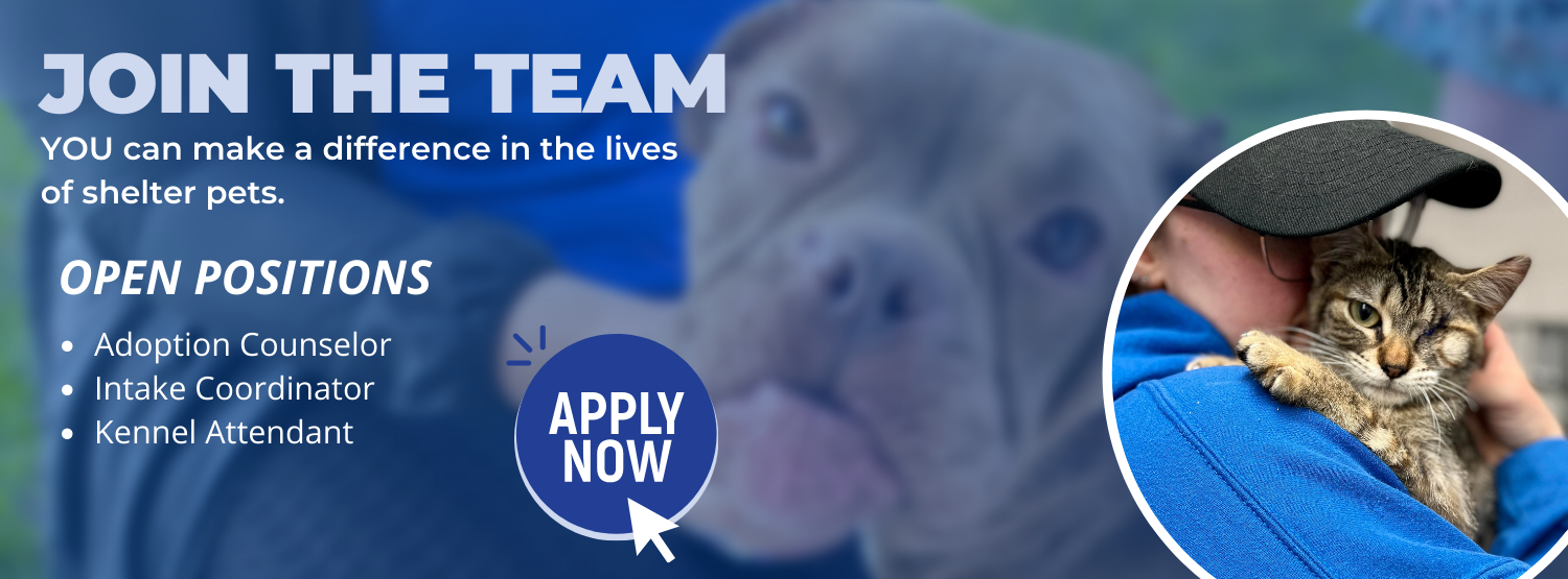 Cedar Bend Humane Society | Waterloo, Iowa